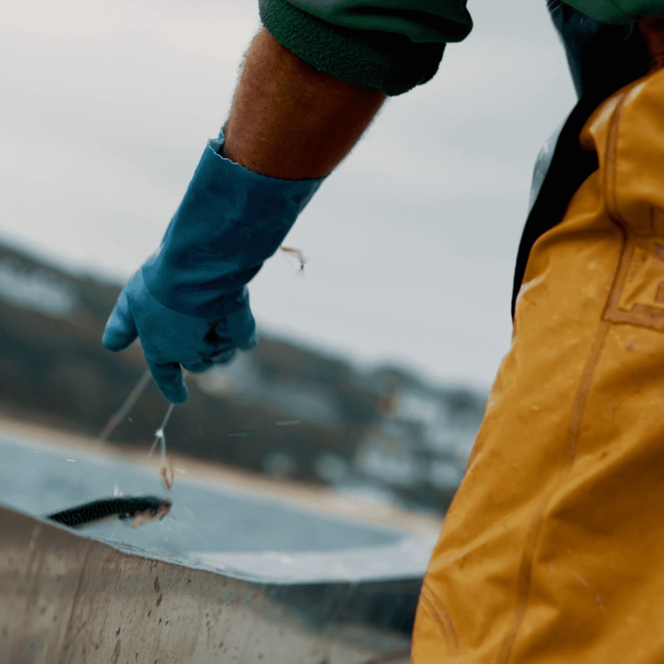 Chef Sargent Suppliers - Fresh, Local & In Season