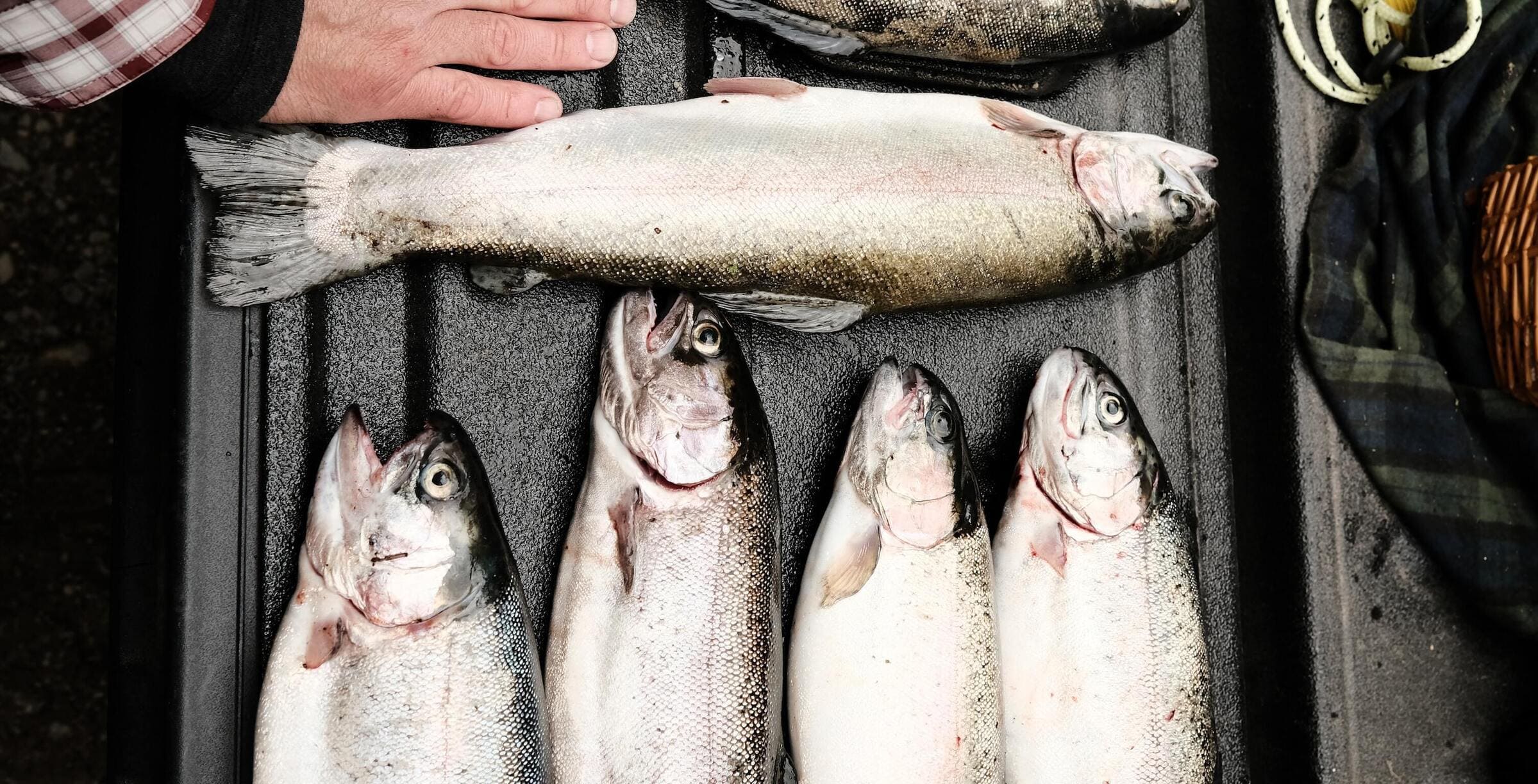 Private Chef Cornwall - Luxury Dining Experiences At Home